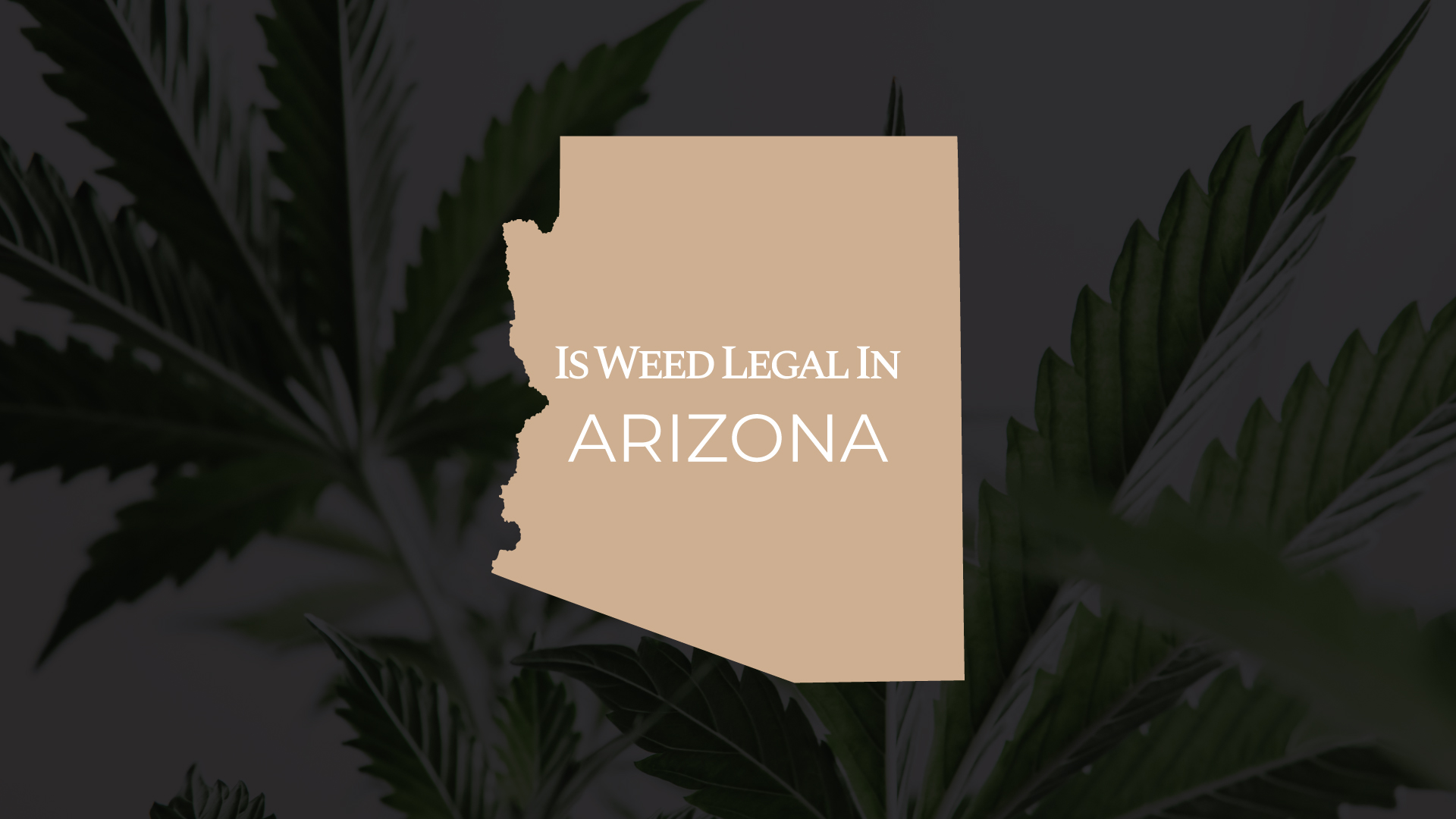 Is Weed Legal In Arizona: Full Guide | IWLI