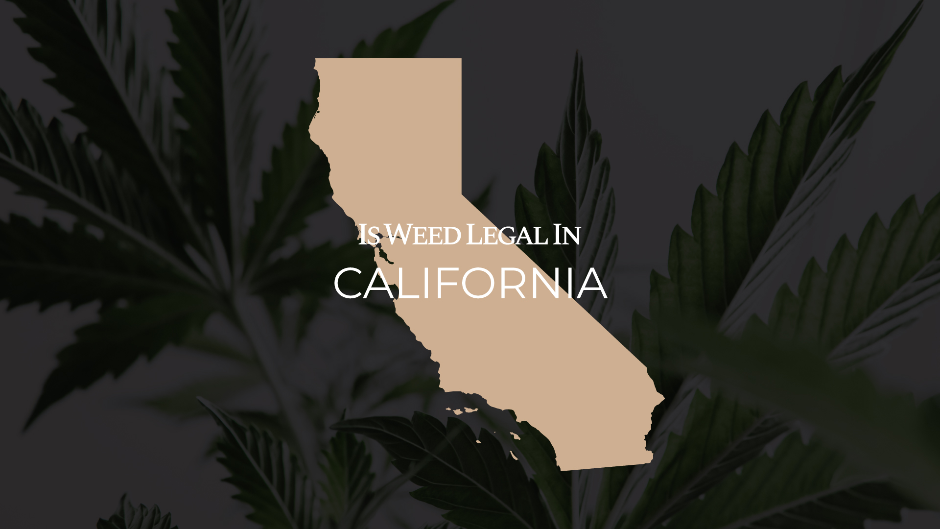 Is Weed Legal In California: Full Guide | IWLI