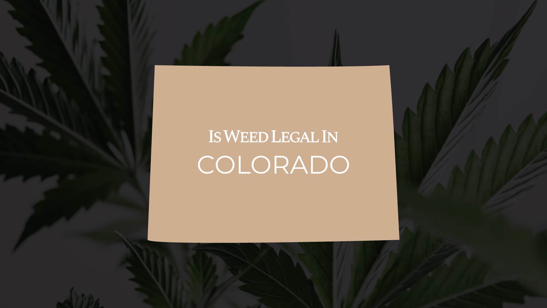 Is Weed Legal In Colorado: Full Guide | IWLI