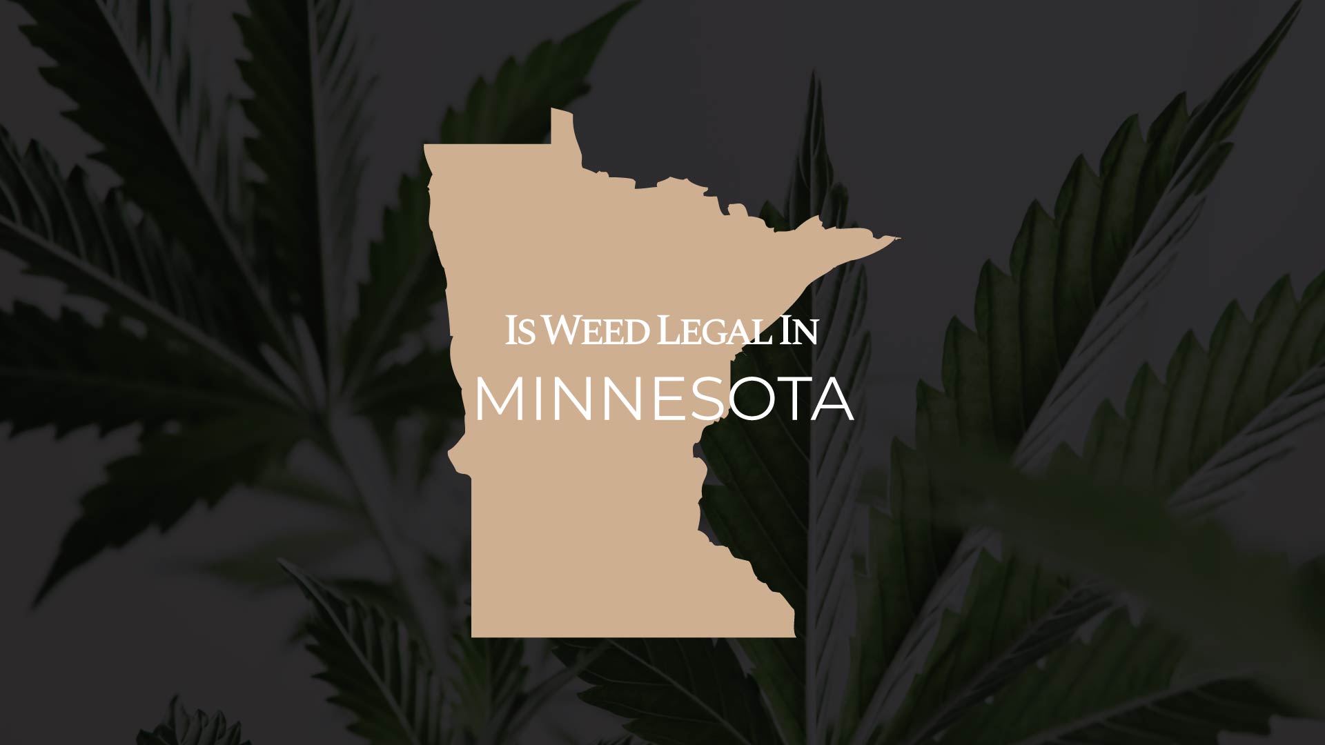 Is Weed Legal In Minnesota: Full Guide | IWLI